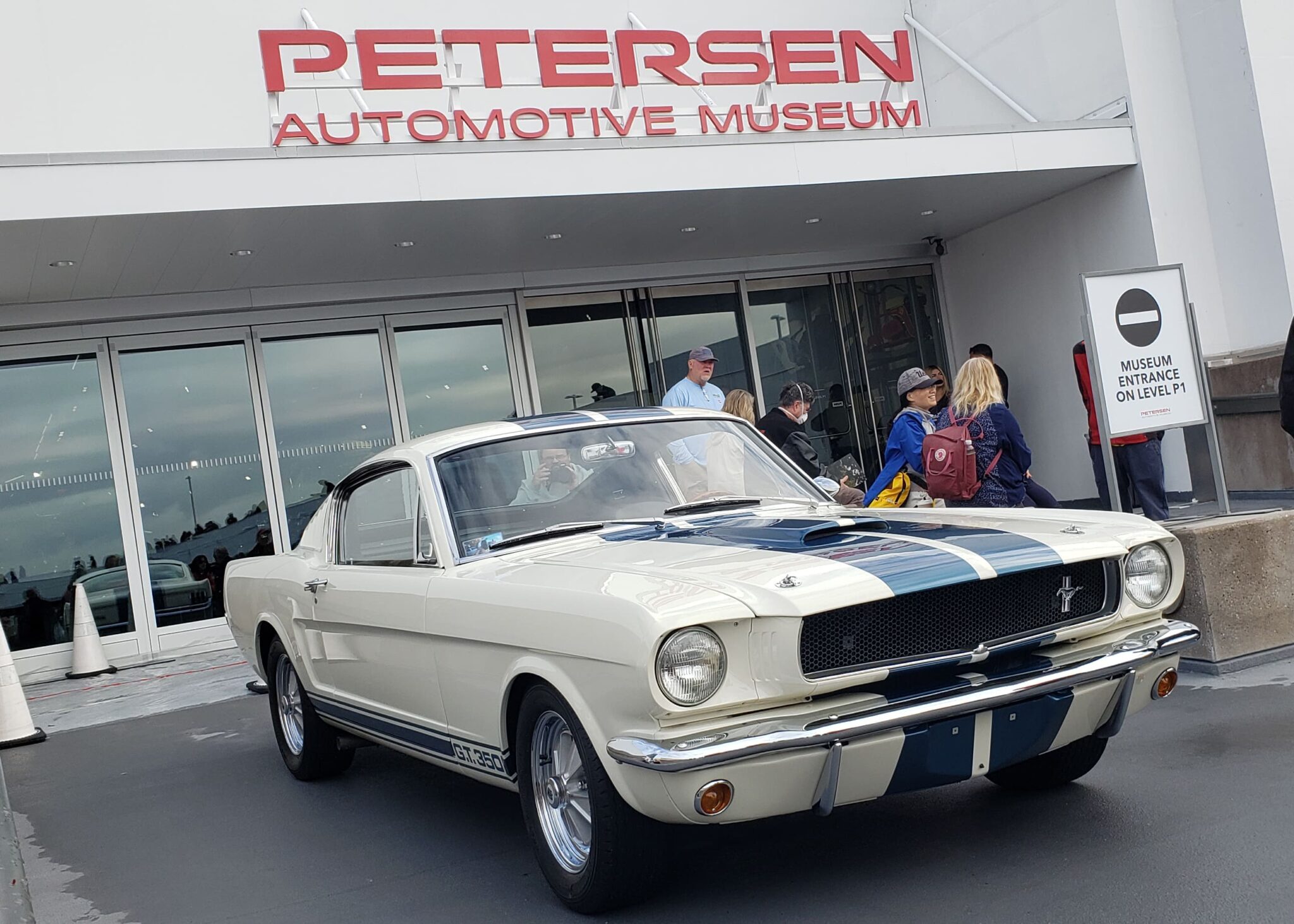 Wild Mustangs at the Petersen - Hispanic Motor Press